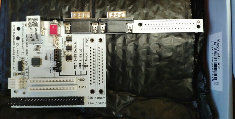 Sold - Keyrah v2 | AmiBay