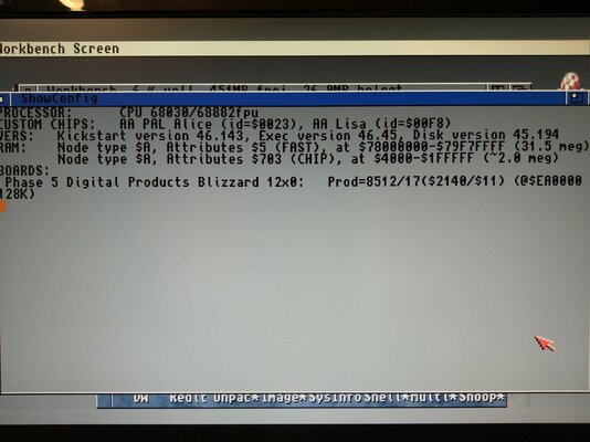 For Sale - Amiga 1200 CPU Cards: Blizzard 1230, ACA1221lc, MTec 1230 ...