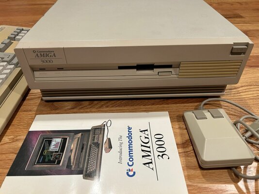 Closed - Amiga 3000 | AmiBay